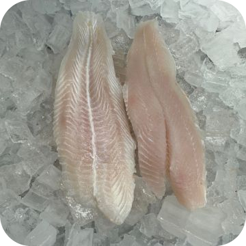 Flounder Fillet / lb. | Linton's Seafood