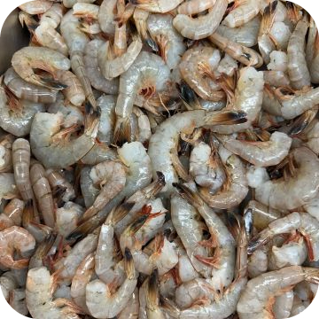 Shop Shrimp - Atlantic & Gulf | Linton's Seafood