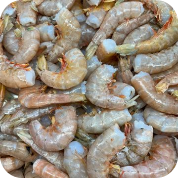 Gulf X-Large Shrimp 26-30 count (3 lbs.) | Linton's Seafood