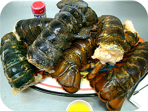 16-20oz Maine Tails (8-pack) | Linton's Seafood