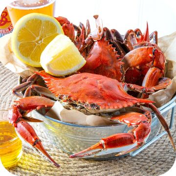 Shop maryland hard crabs | Linton's Seafood